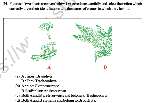 CBSE Class 10 Science MCQs Set 3 with Answers CBSE Class 10 Science MCQs Set 3 with Answers
